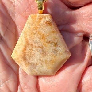 Petrified Coral Hexagon Pendant Necklace - Etsy