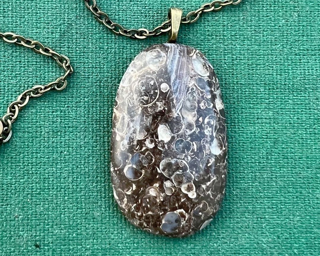 Turritella Fossil Agate (1) Pendant Necklace - Etsy