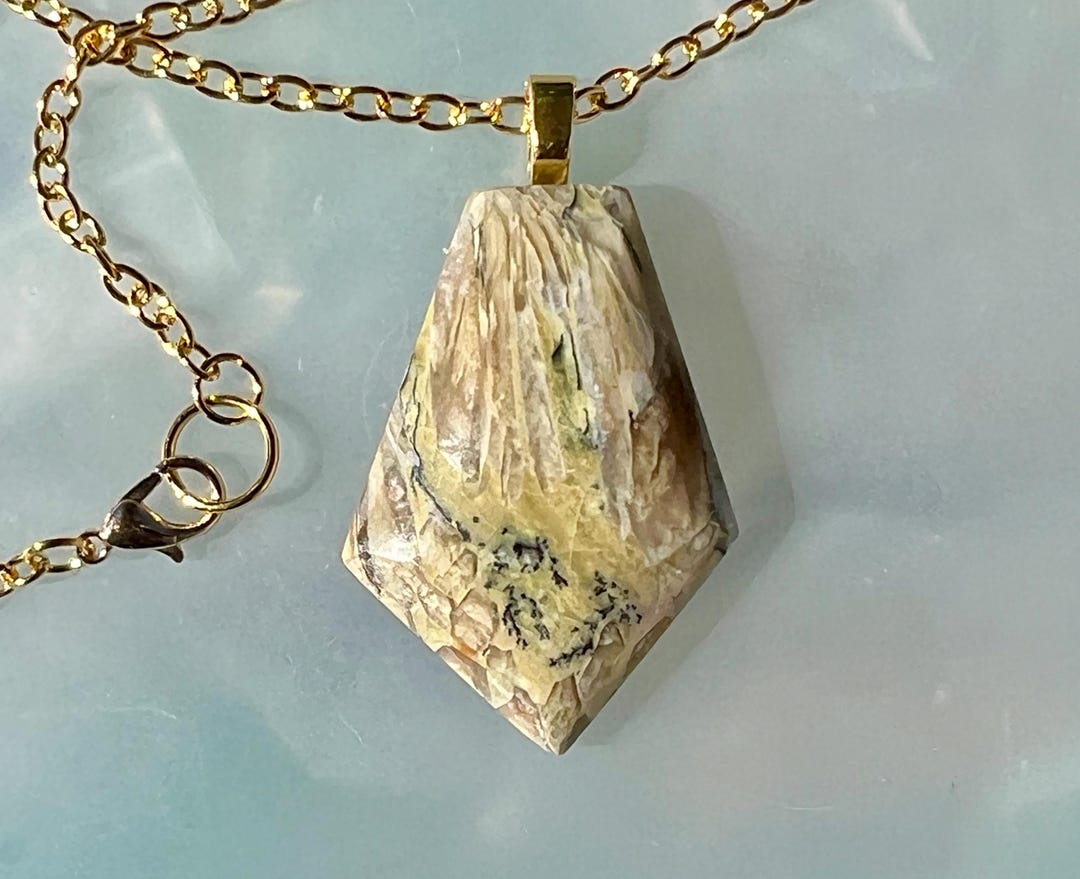Petrified Palm Root Pentagon Pendant Necklace - Etsy
