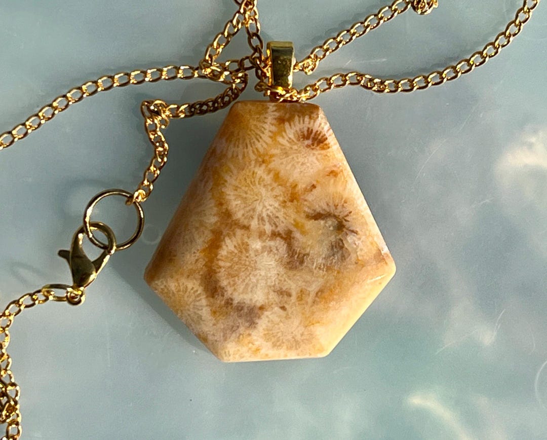 Petrified Coral Hexagon Pendant Necklace - Etsy