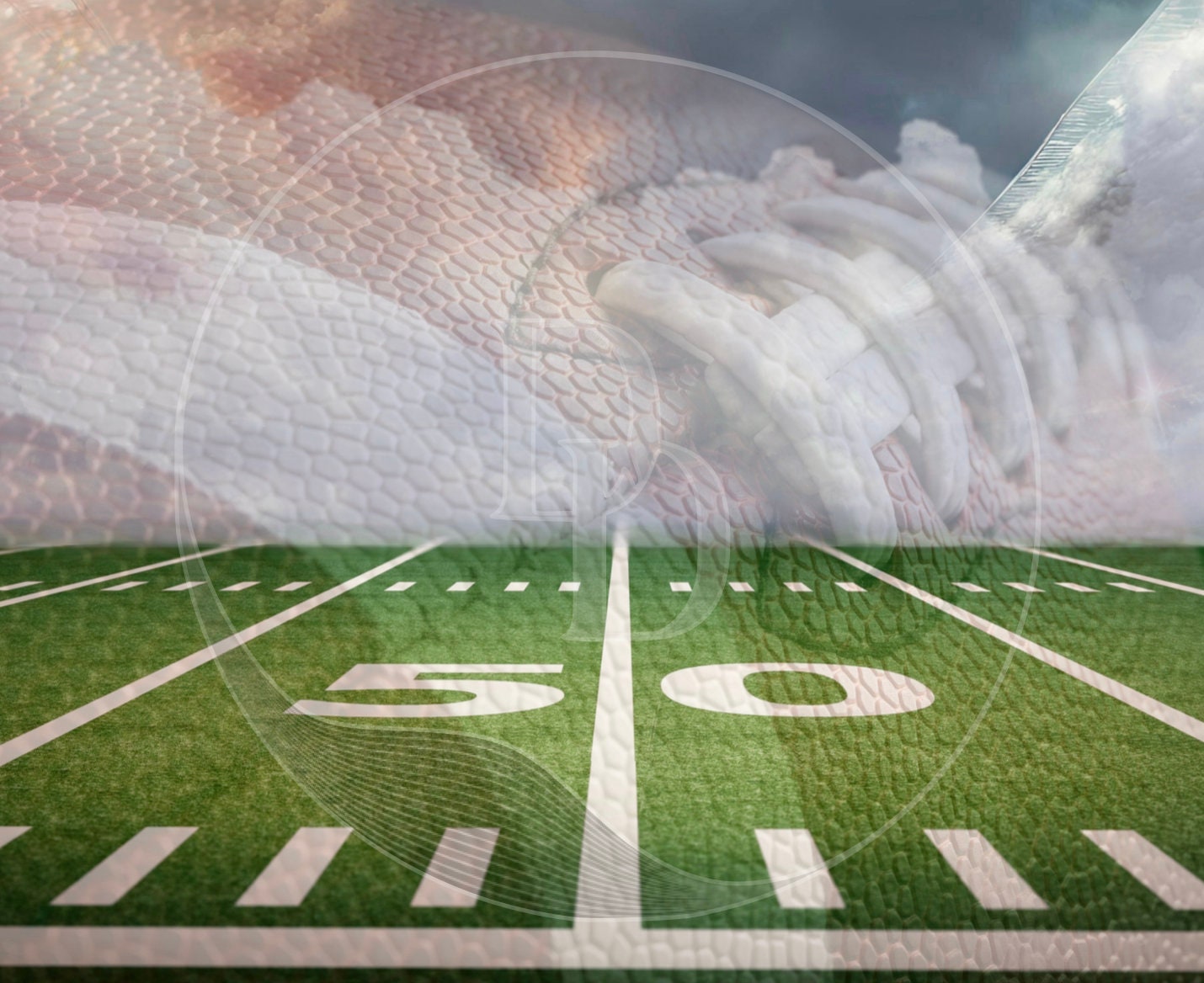 Football Field Background Bundle of 10 Digital Downloads, Football ...
