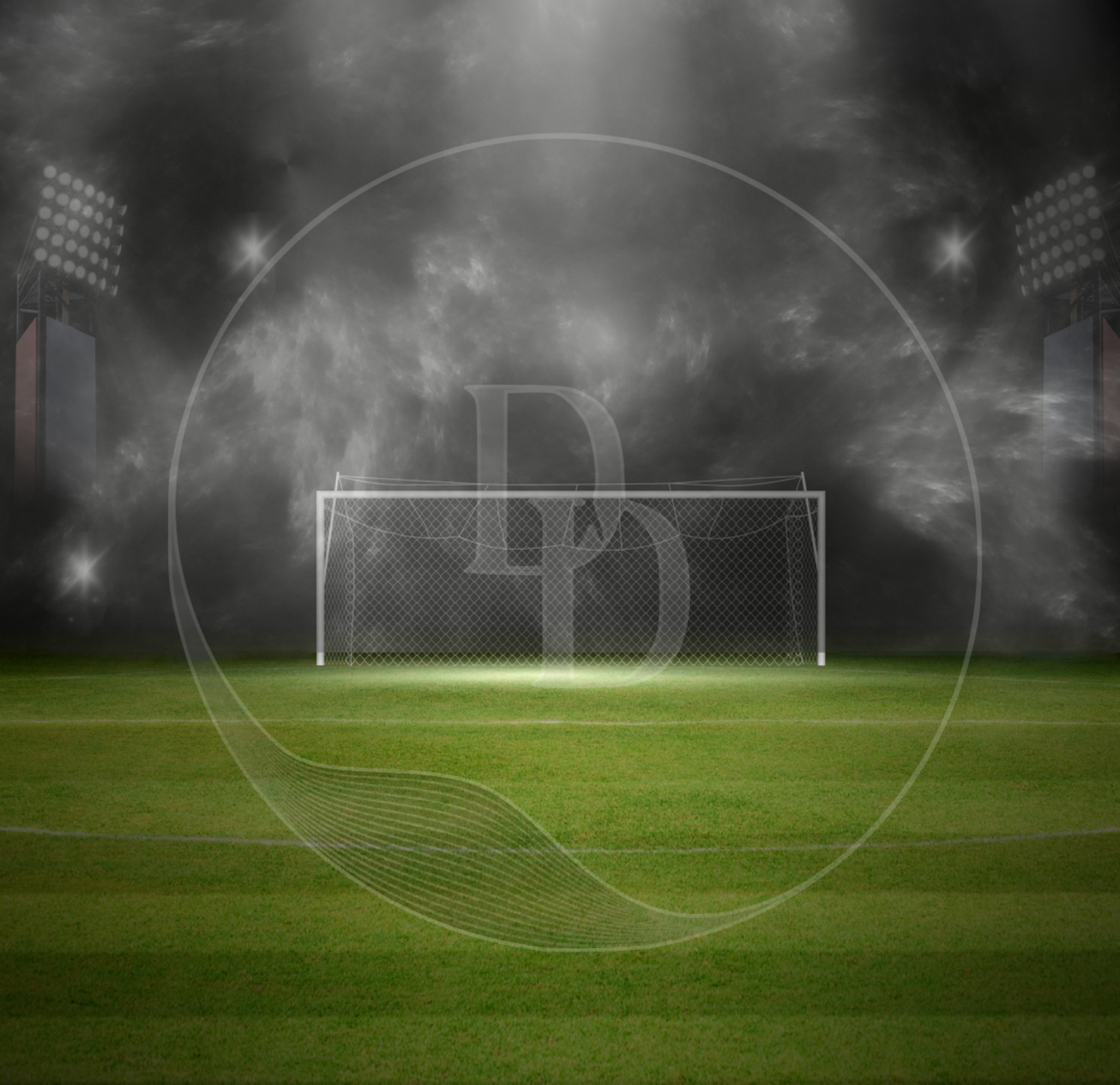 Soccer Field, Sports Backdrop, Sublimation, Team Photo, Soccer Banner ...