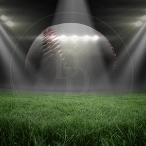 Baseball Ballpark Photography Backdrop: Sports Photo (digital Download ...