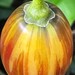 20 Seeds of the Rare Tamarillo Variety 'camo'. Tree Tomato. - Etsy