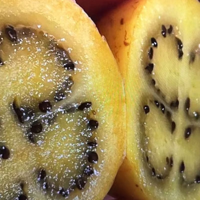 Rare Exotic Seeds - Etsy