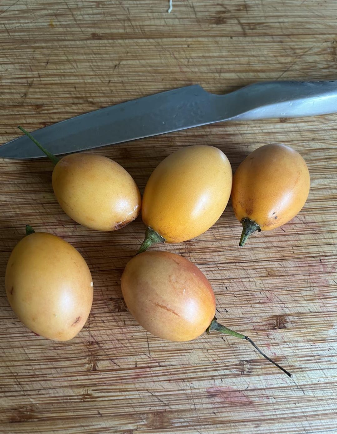 10 Seeds From Attractive Large Oval Yellow Tamarillo - Tree Tomato - Etsy