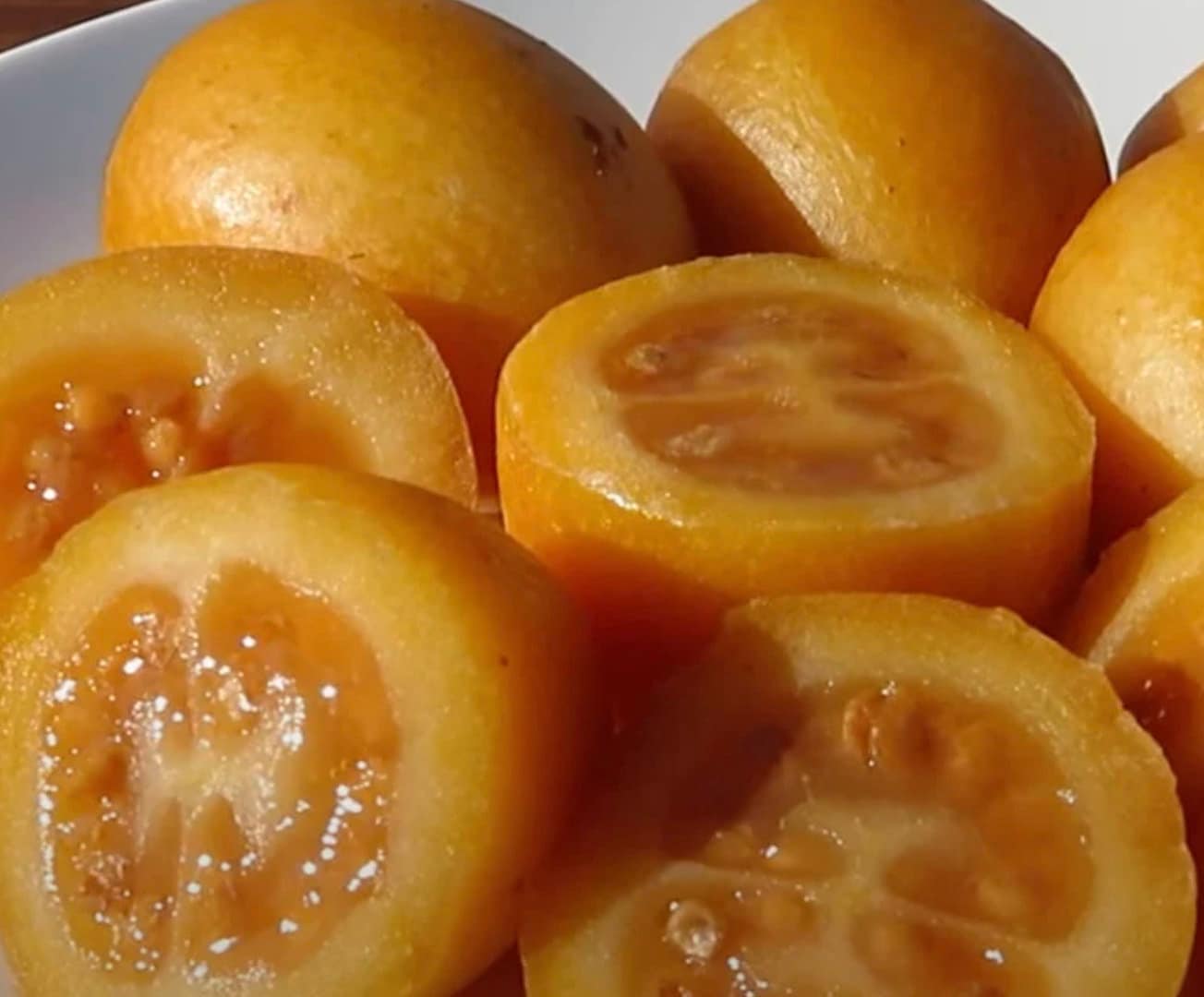 Rare Guava Tamarillo, Cyphomandra Fragrans. 4 Fresh Cuttings - Etsy