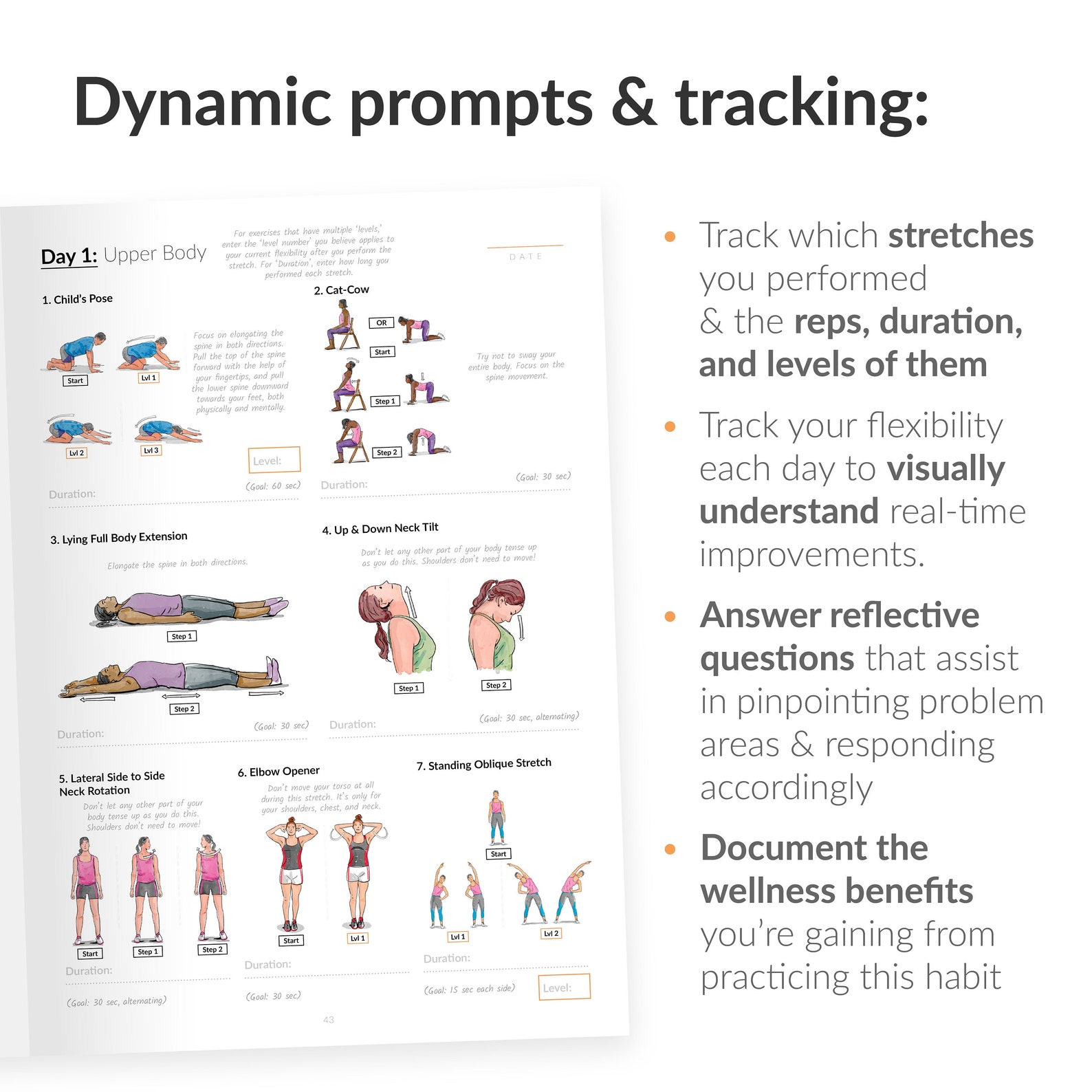 Stretching Sidekick Journal: 66 Daily Routines (digital PDF) - Etsy