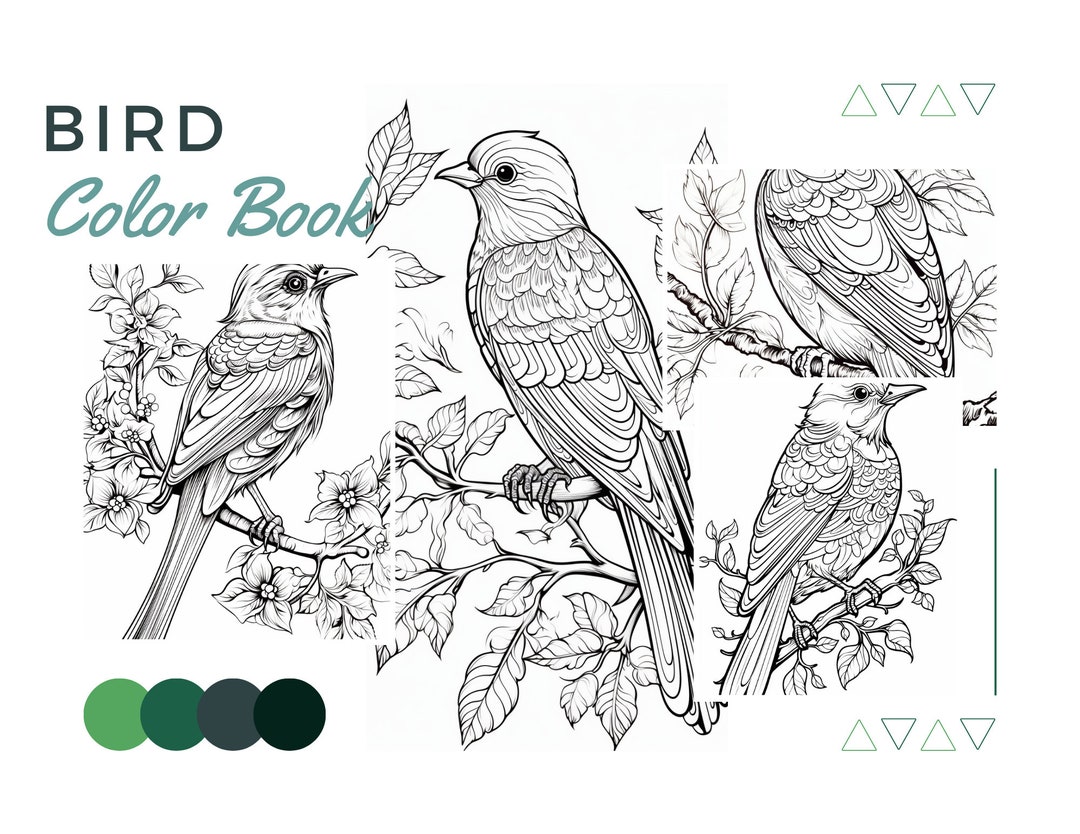 Bird Coloring Book Printable Images X8 Coloring Book, Bird Art, Bird ...