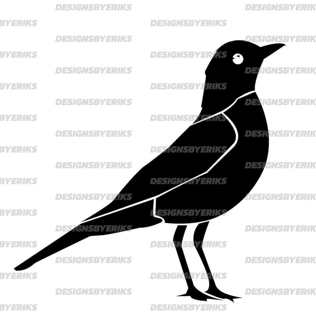 Robin SVG & PNG File | Cutout | Instant Download | Image | Vector ...