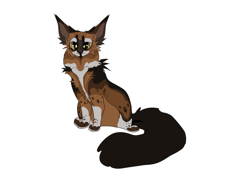 Offbase Owl Inspired Cat Adopt Cat Furry/fursona Adopt - Etsy