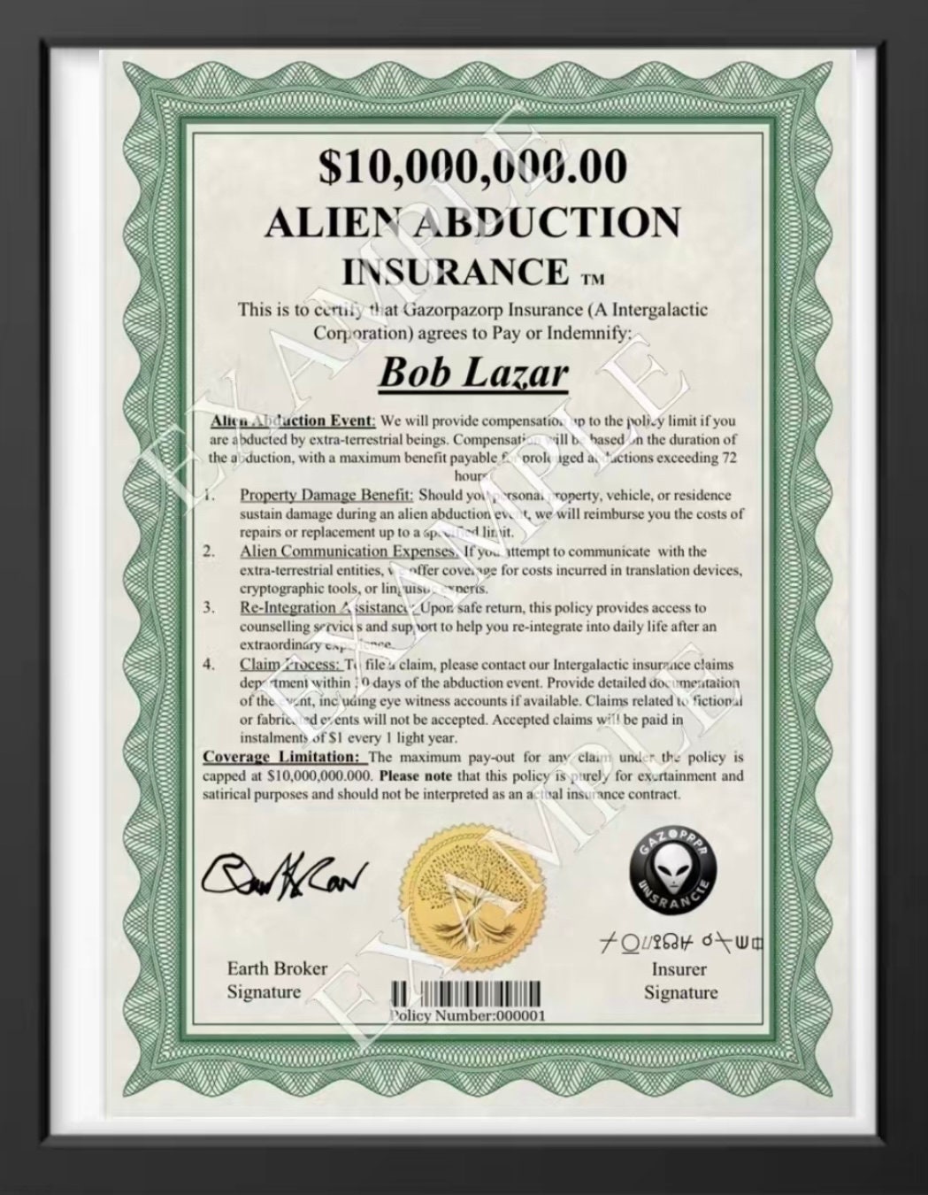 Alien Abduction Insurance