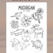 Michigan Activity, State Symbols, Geography of Michigan, Printable ...