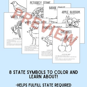 Michigan State Study Activity Book | 3rd Grade Geography Unit | State ...
