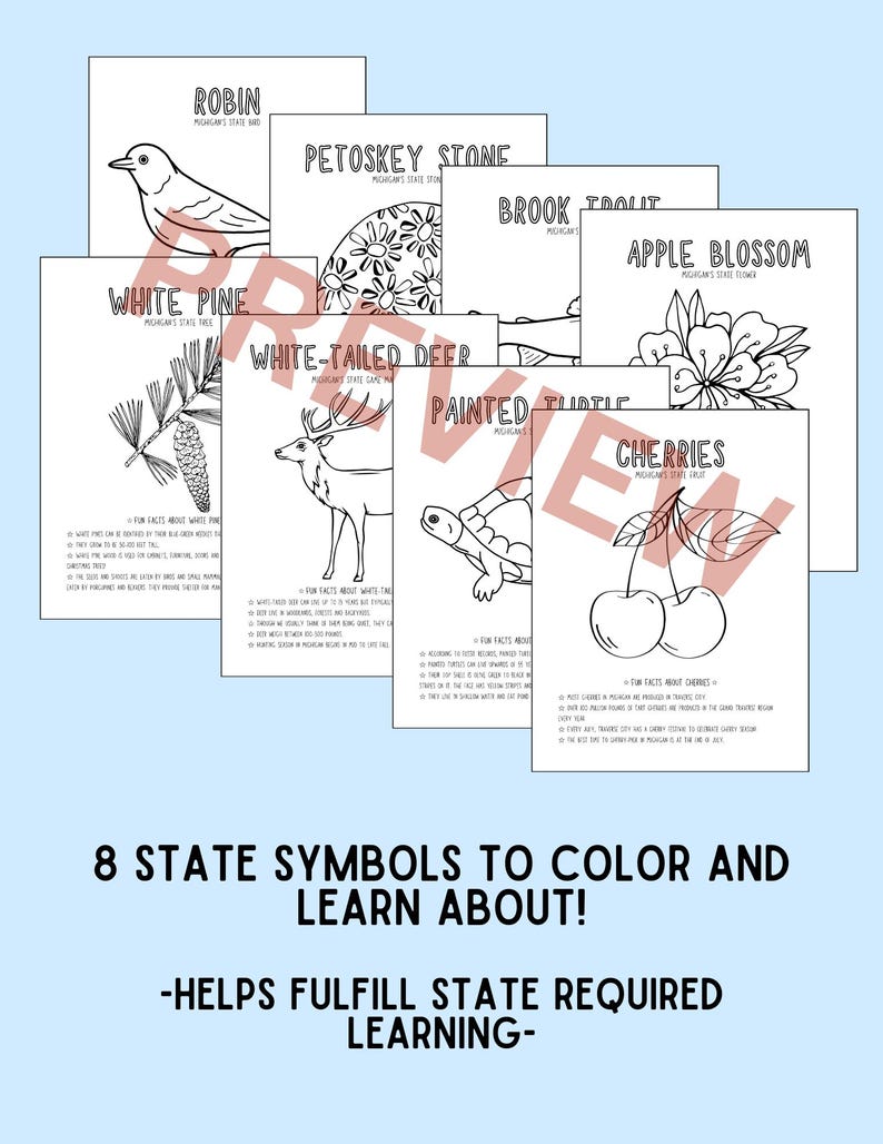 Michigan State Study Activity Book | 3rd Grade Geography Unit | State ...