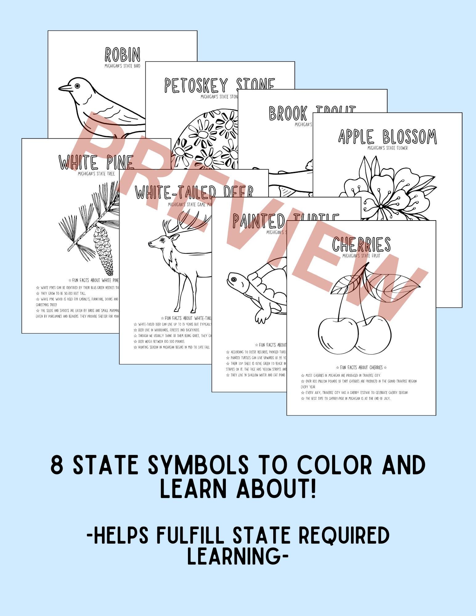 Michigan State Study Activity Book | 3rd Grade Geography Unit | State ...