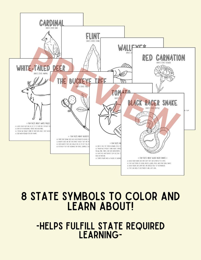 Ohio Activity Book: State Symbols & Geography (digital Download) - Etsy