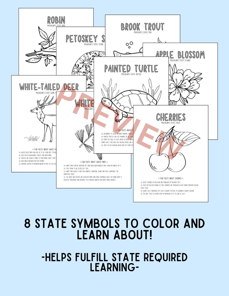 Michigan Activity, State Symbols, Geography of Michigan, Printable ...