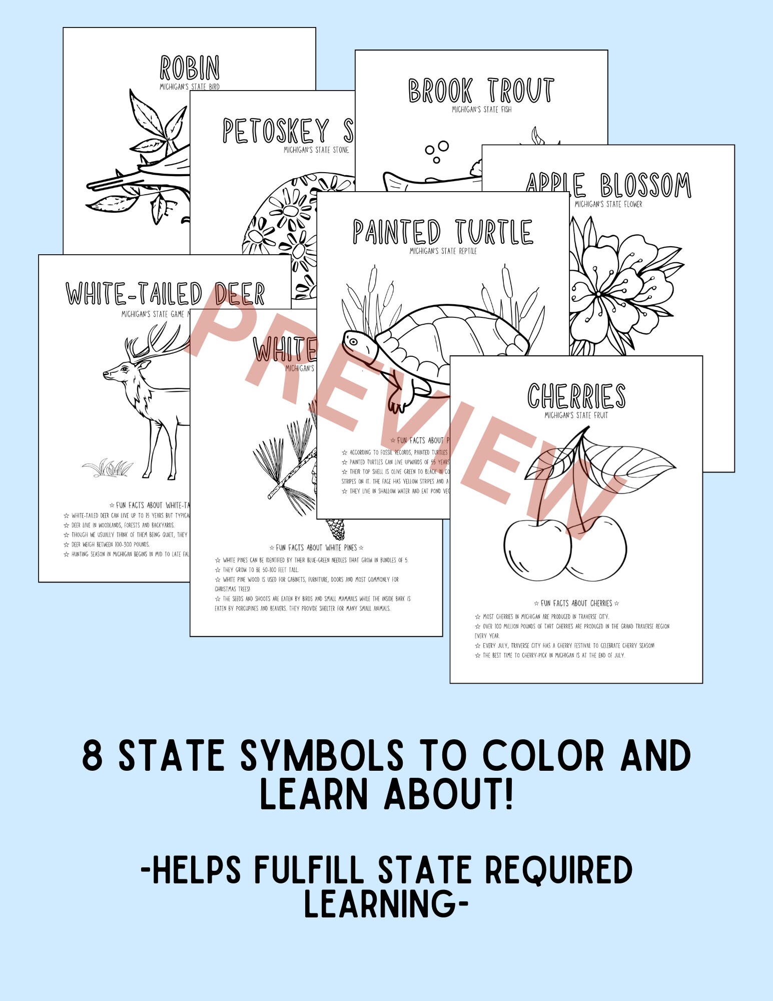 Michigan Activity, State Symbols, Geography of Michigan, Printable ...