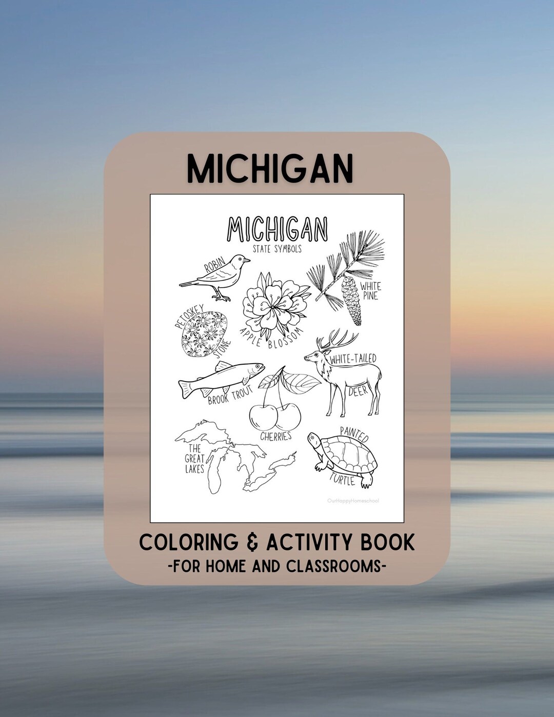 Michigan State Study Activity Book | 3rd Grade Geography Unit | State ...