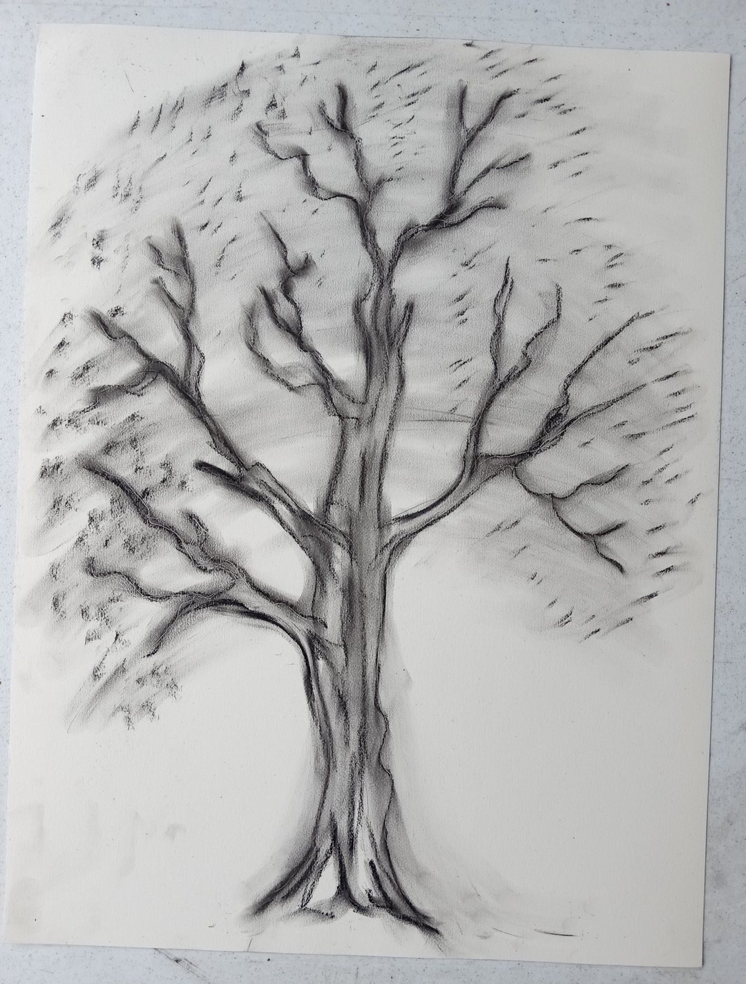 Single Tree Original Landscape Charcoal Drawing - Etsy