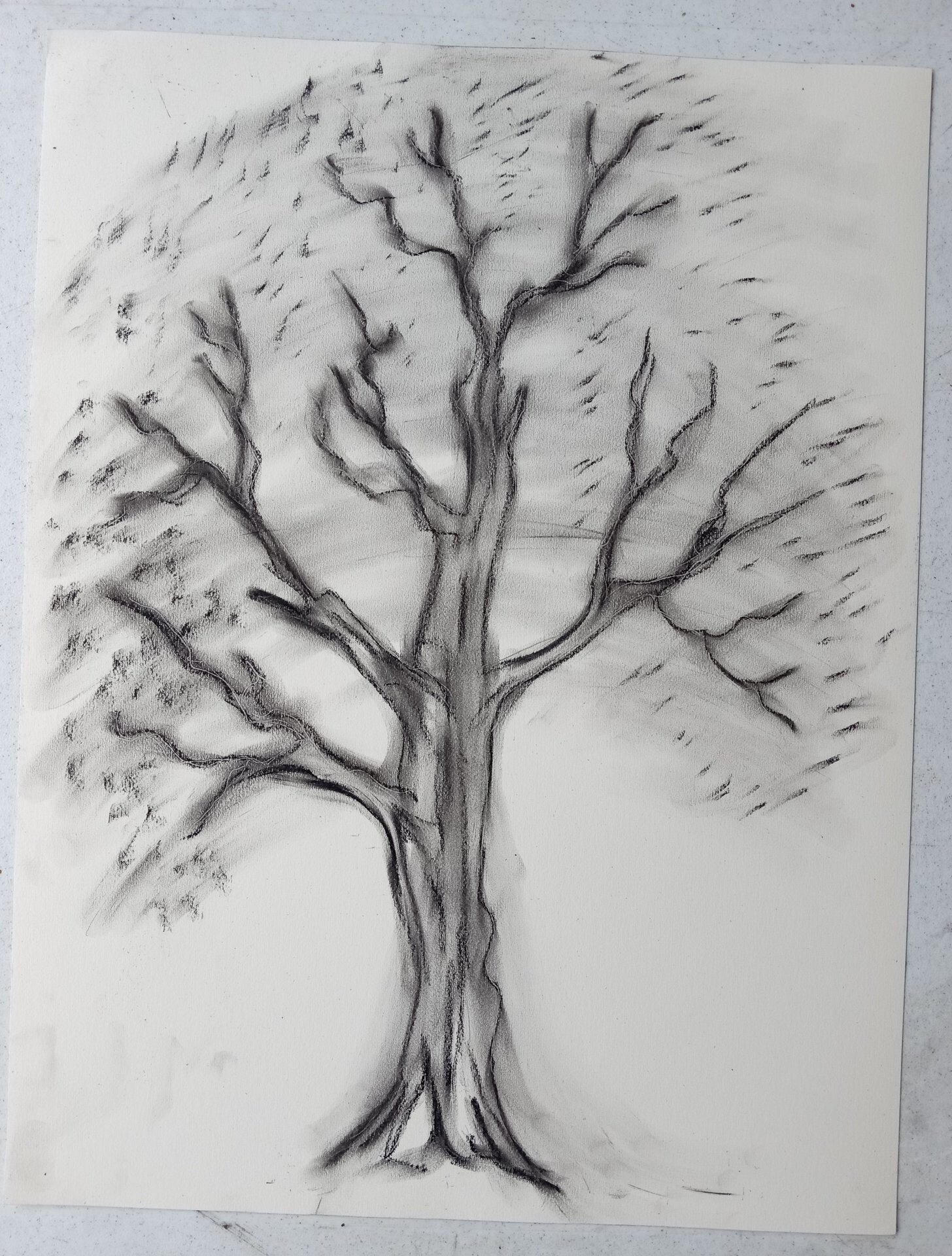 Single Tree Original Landscape Charcoal Drawing - Etsy