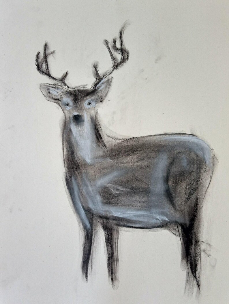 Standing Deer Charcoal Drawing Original Wildlife Animal Artwork - Etsy