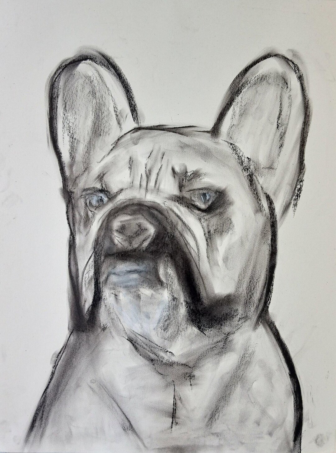 Bull Dog Drawing Original Bulldog Charcoal Animal Pet Wall Art - Etsy