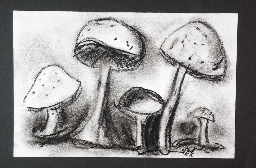 Mushrooms Wall Art Charcoal Drawing, Hand-drawn Fungus Sketch, Original ...