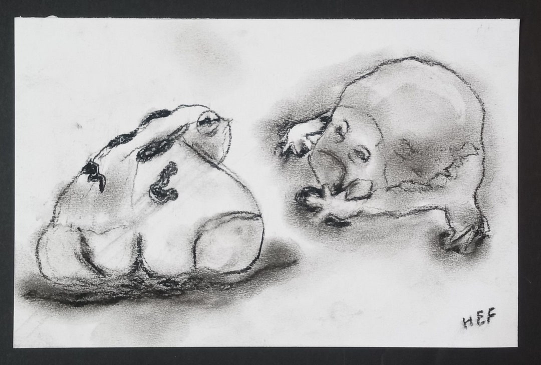 Desert Rain Frog Sketch Wall Art Charcoal Drawing, Amphibian Hand-drawn ...