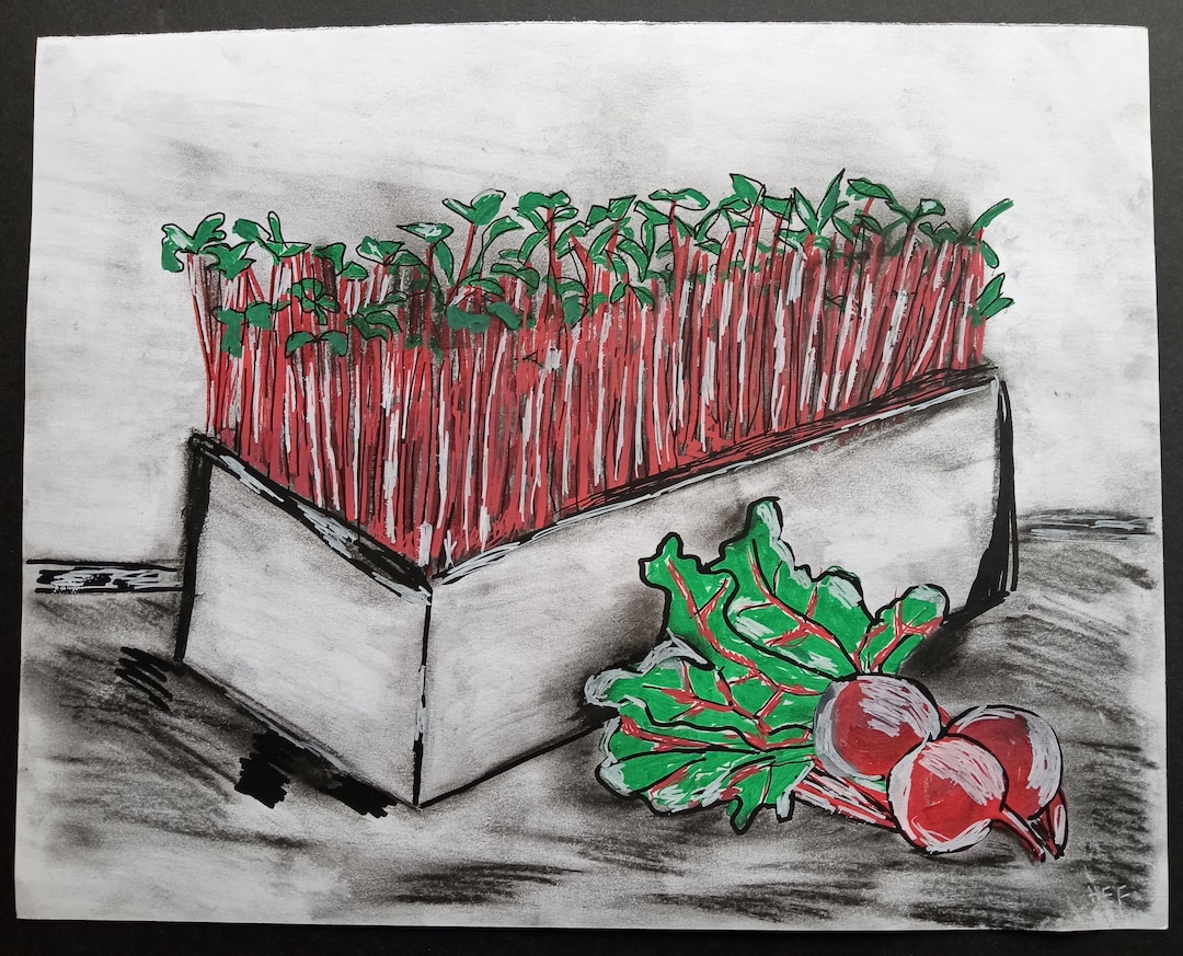Microgreens Vegetables Charcoal Marker Drawing, Beets Hand-drawn ...