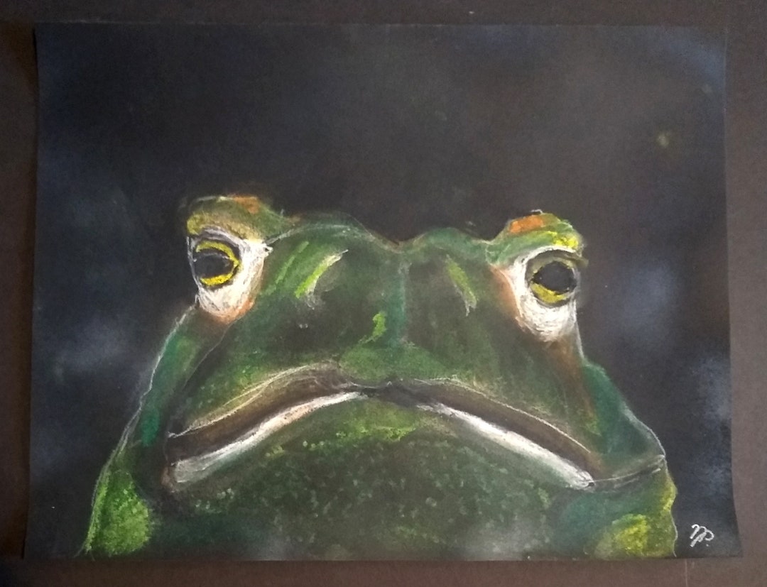 Angry Frog Sketch Wall Art Charcoal and Pastels Drawing, Amphibian Hand ...