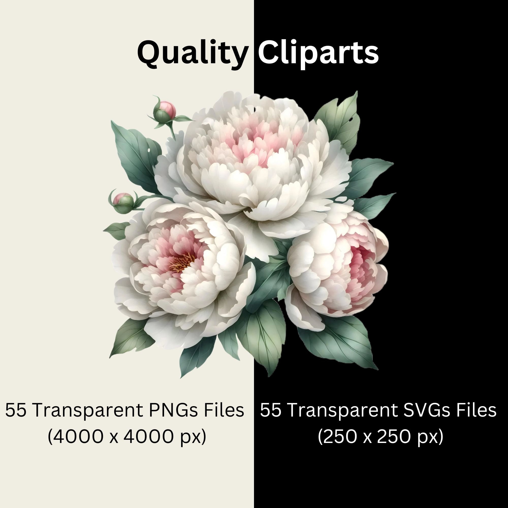 White Peonies Clipart Transparent PNG SVG Peonies Digital Download Clip ...