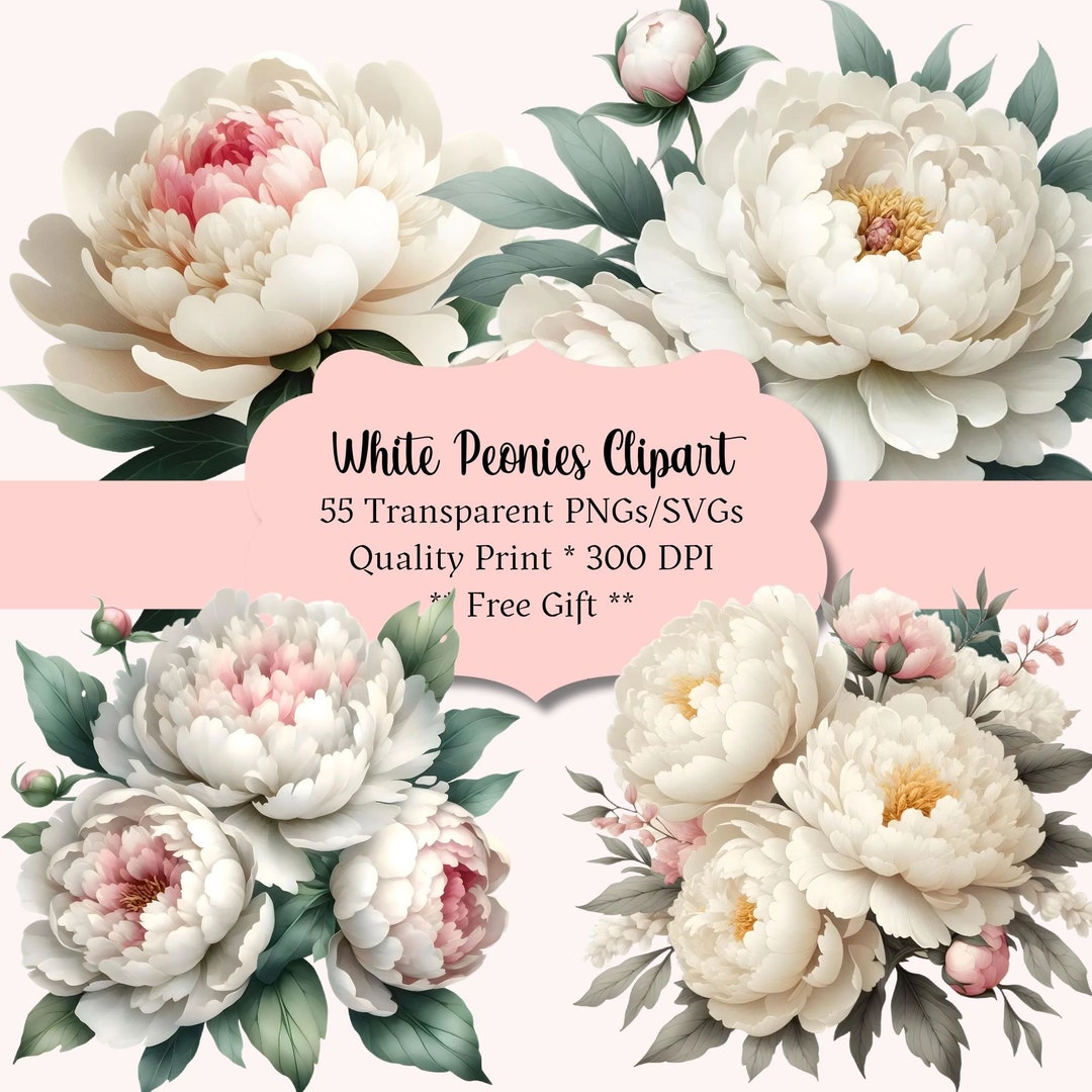 White Peonies Clipart Transparent PNG SVG Peonies Digital Download Clip ...