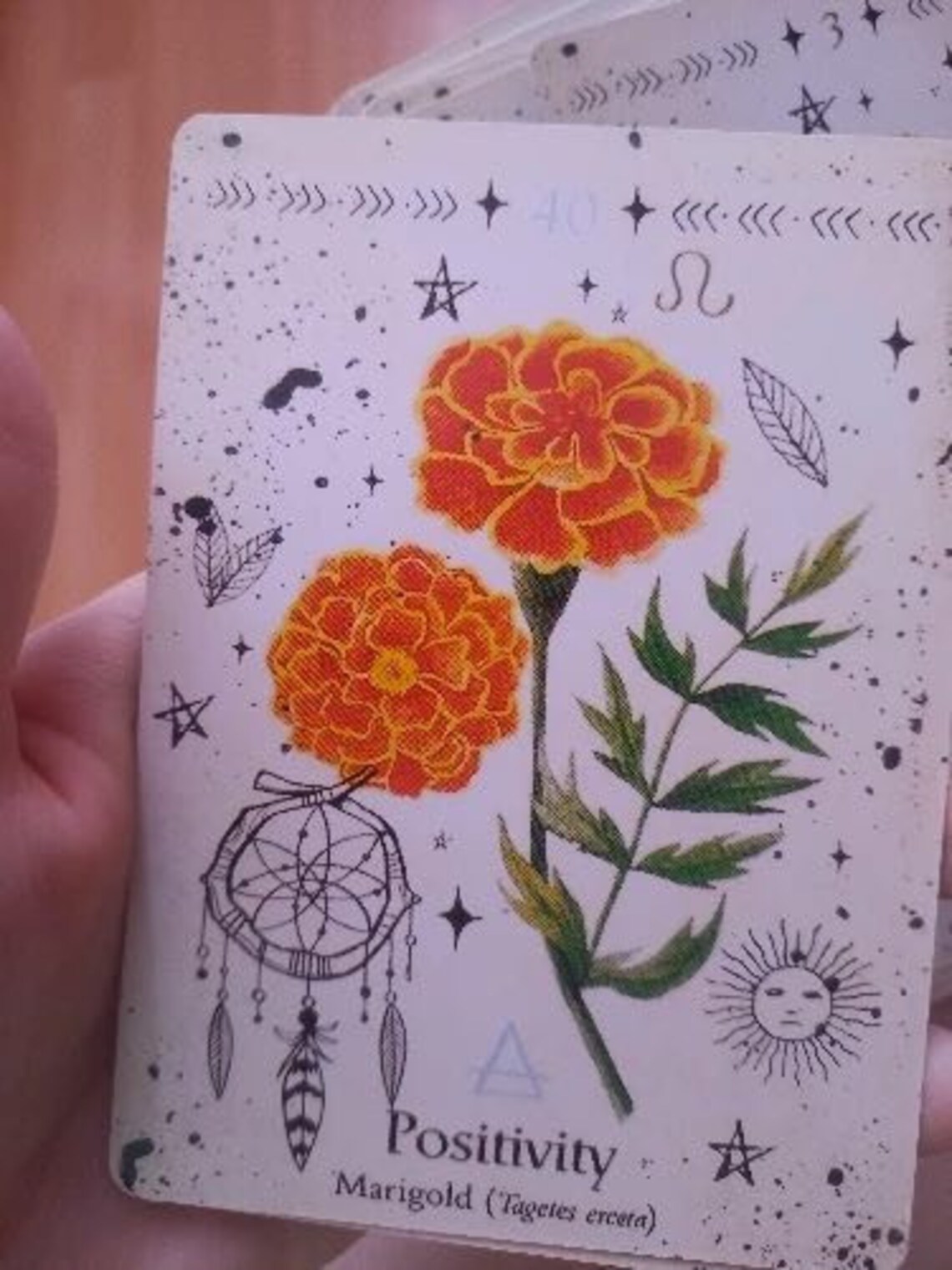 Oracle Tarot Deck With Meaning on Tarot Cards. - Etsy