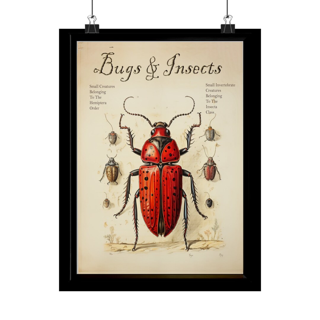 19th Century Style, Artistic Bug Poster, Gold, Golden Beetle, Beautiful ...