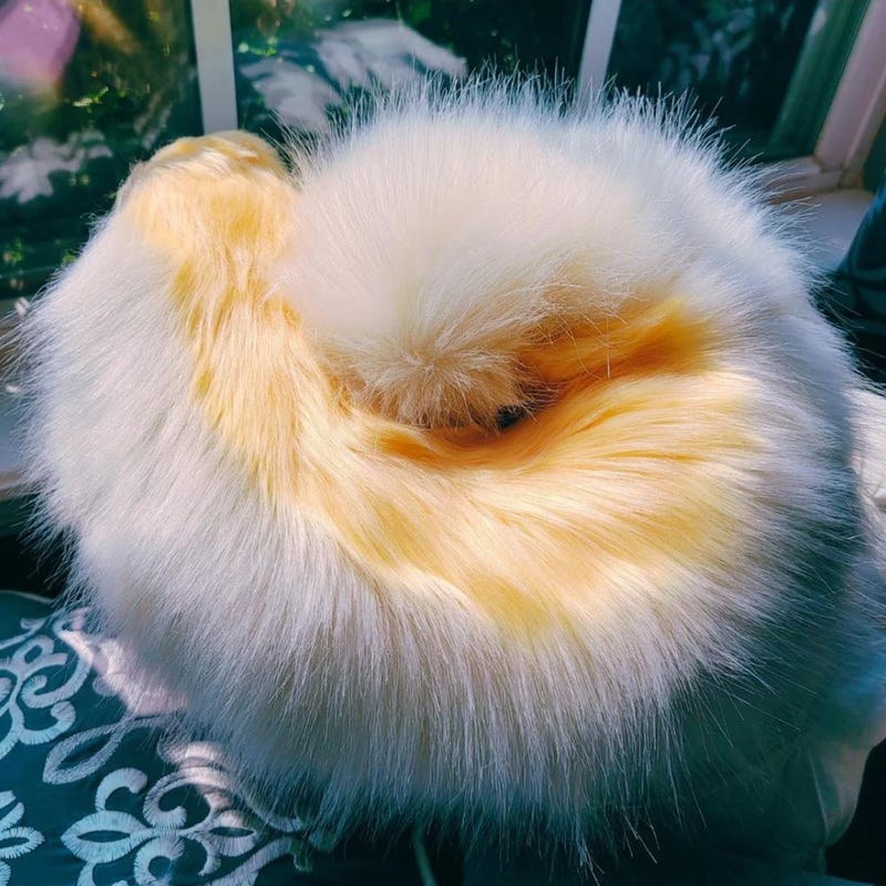 Hypermotion Tail - Etsy