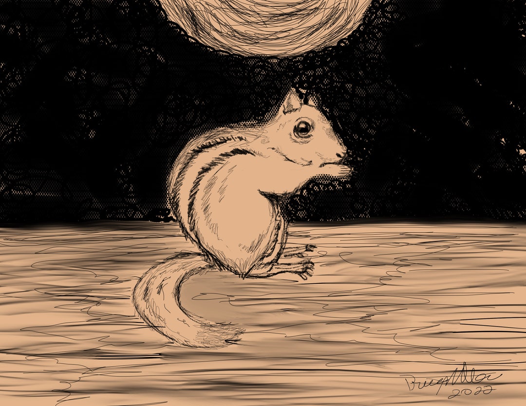 Squirrel Sketch: Charming Pen and Ink Wildlife Drawing Nature-inspired ...