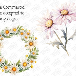 Watercolor Color Floral Daisy PNG Clipart | PNG, Commercial Use ...