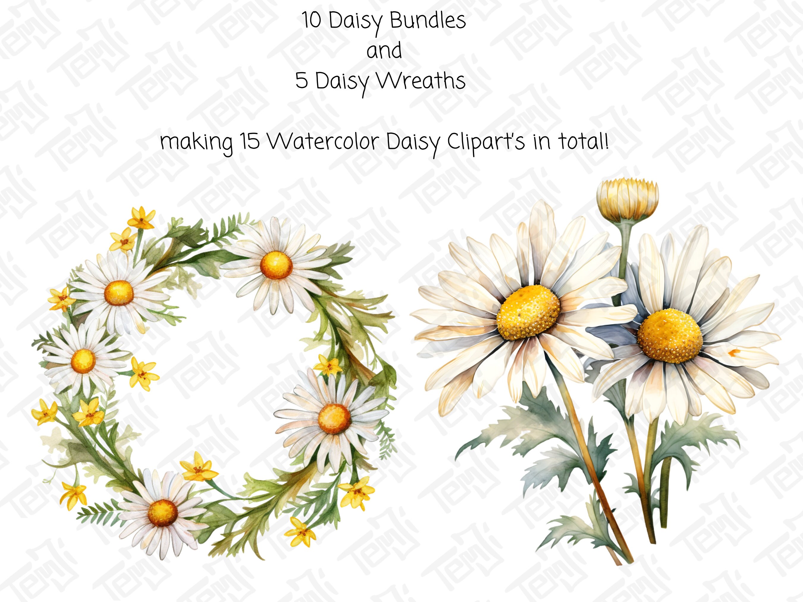 Watercolor Color Floral Daisy PNG Clipart | PNG, Commercial Use ...