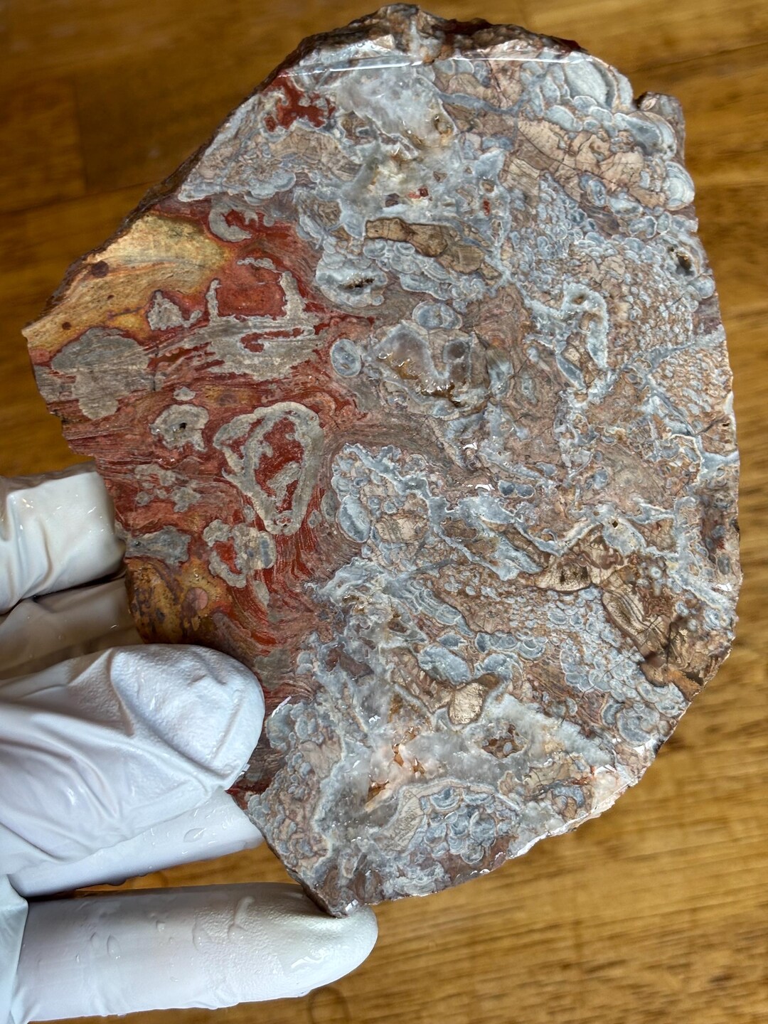 Unusually Hued MUSHROOM JASPER SLAB 212 Grams / Rock/agate/rough/cab ...