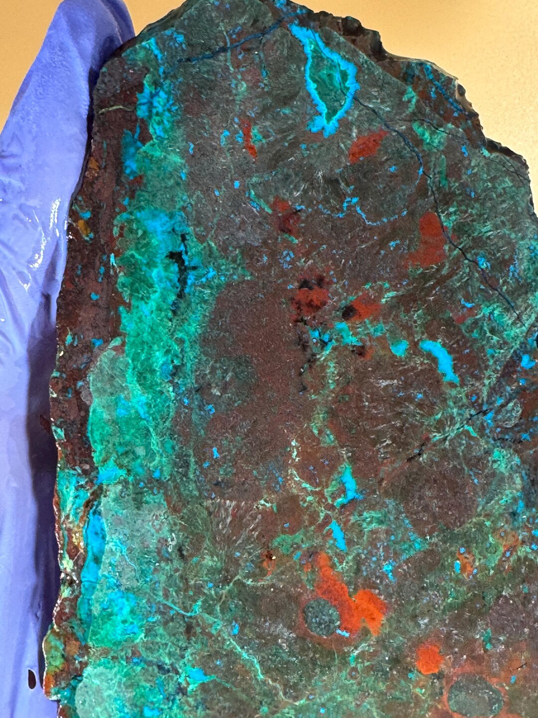 RARE Apache Chrysocolla Slab …. Multi-hued Magnificent King of ...