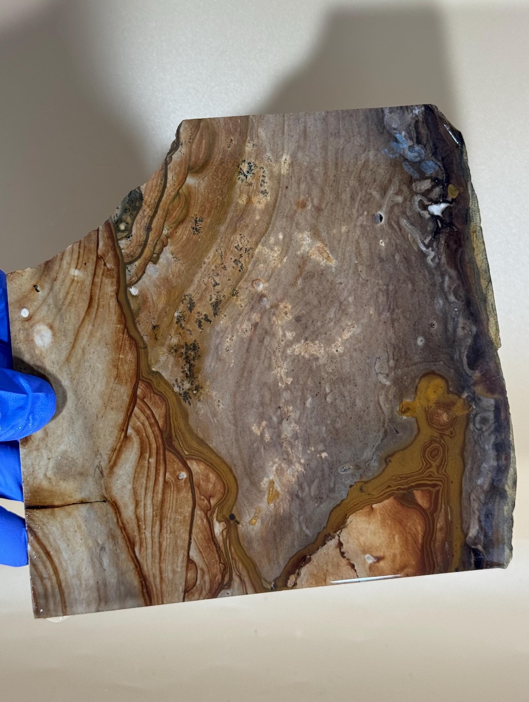 RARE XL Biggs Picture Jasper Slab - Etsy