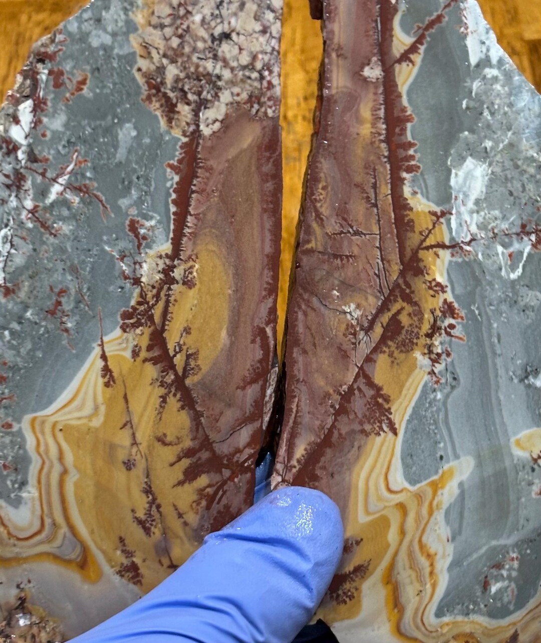 RARE 2 Large Sonoran Dendritic Rhyolite Slabs… Dendrites Adorn ...