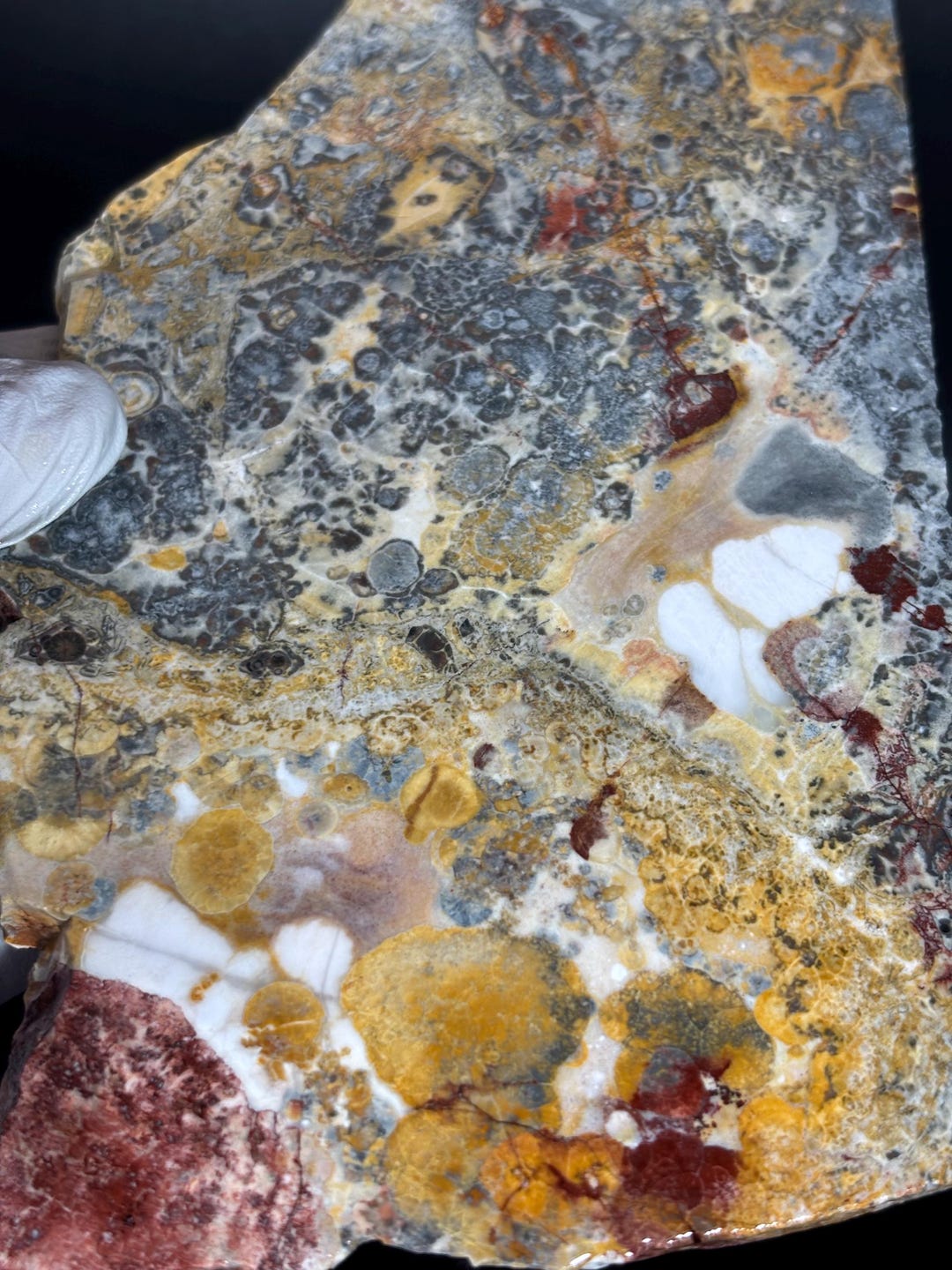Galaxy Rhyolite Slab W/ Stunning Colors and Details for Cabochons ...