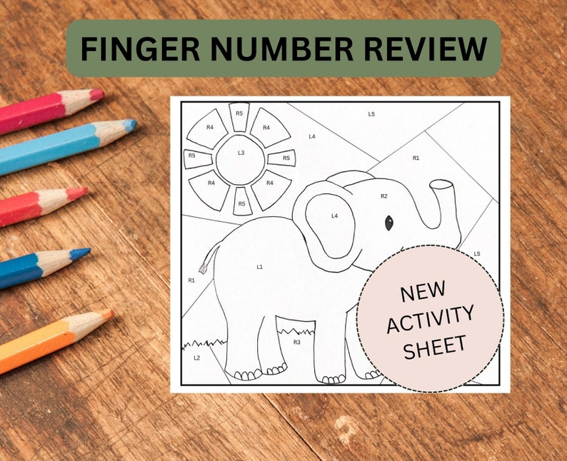 Finger Number Colouring Sheet - Etsy