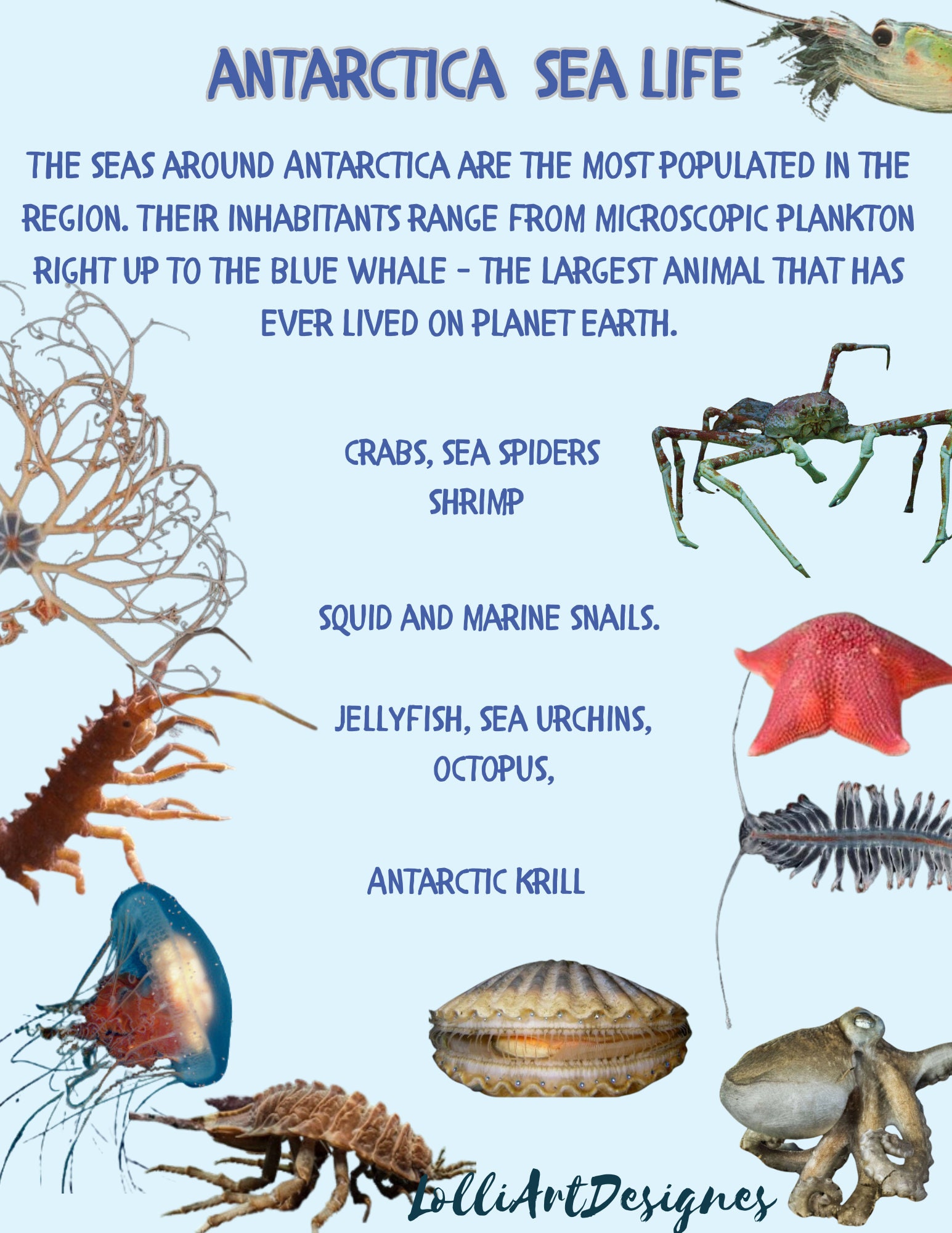 Polar Unit Study, the Arctic and Antarctic, Homeschool, Learning ...