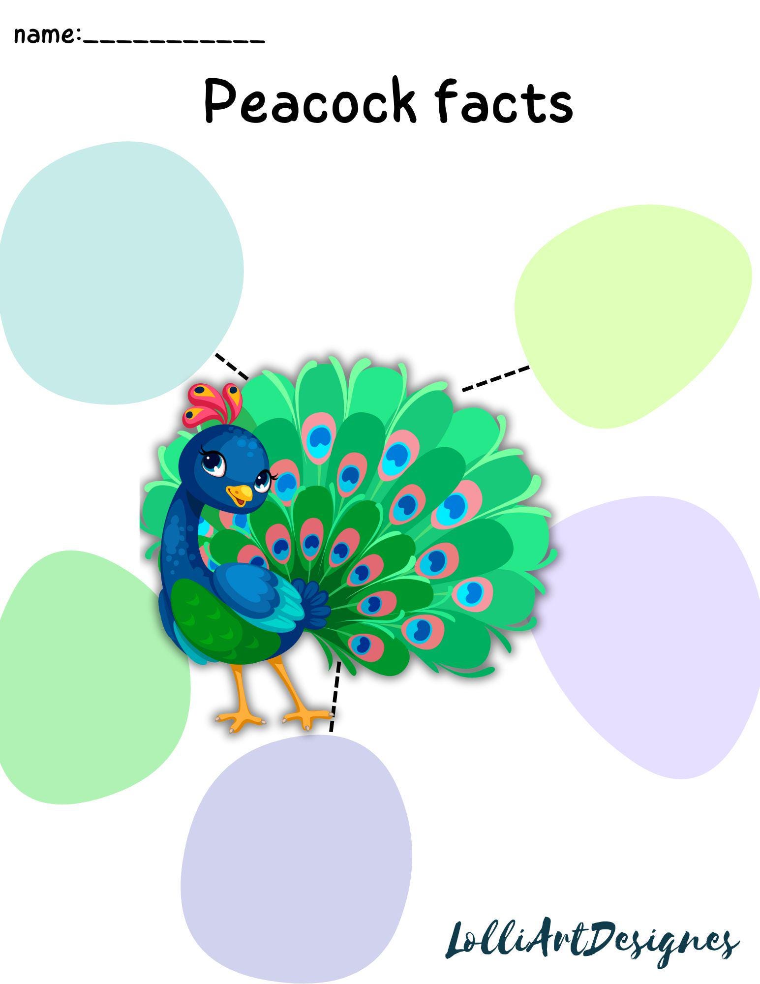 Peacock Math Science and Literacy Centers for Preschool, Pre-k ...