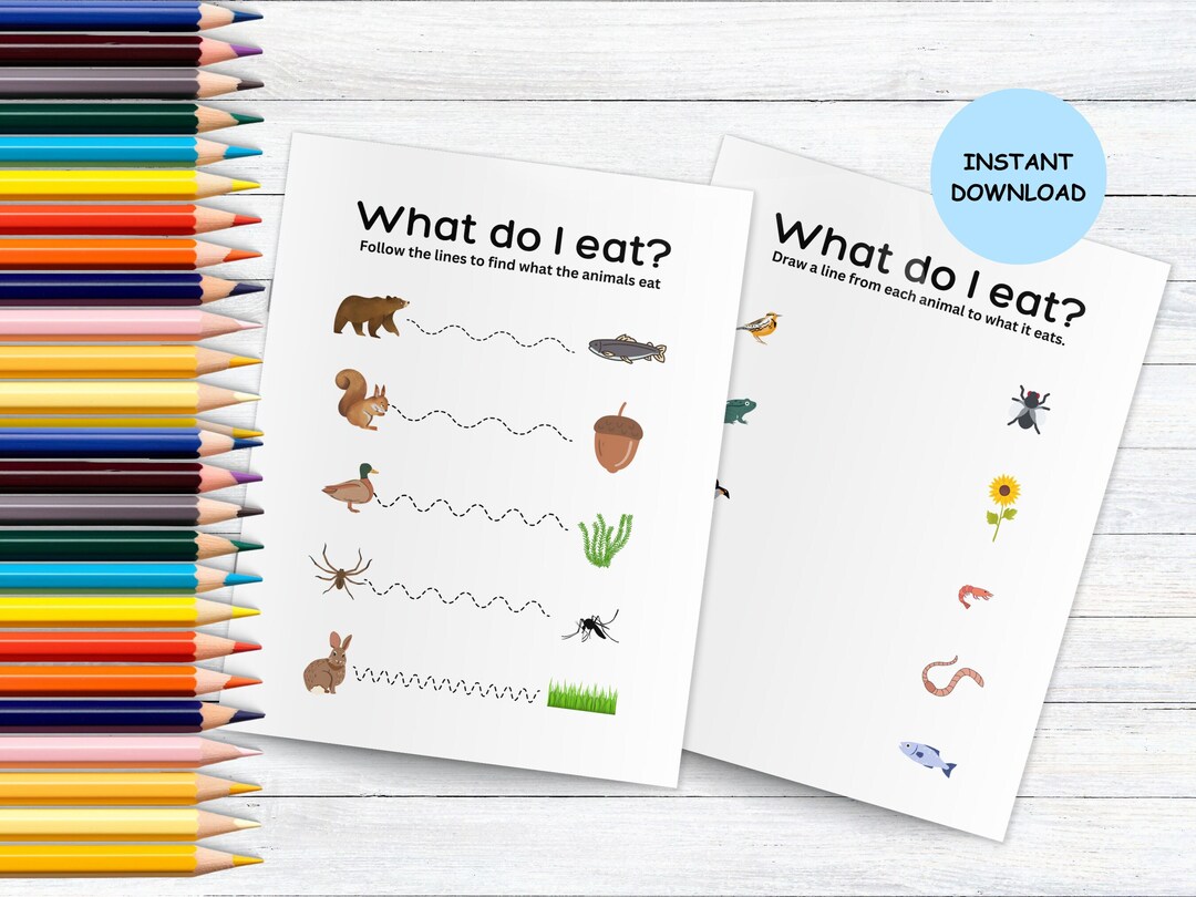 What Do I Eat? Activity Sheet I Printable Work Sheets for Kids, Early ...