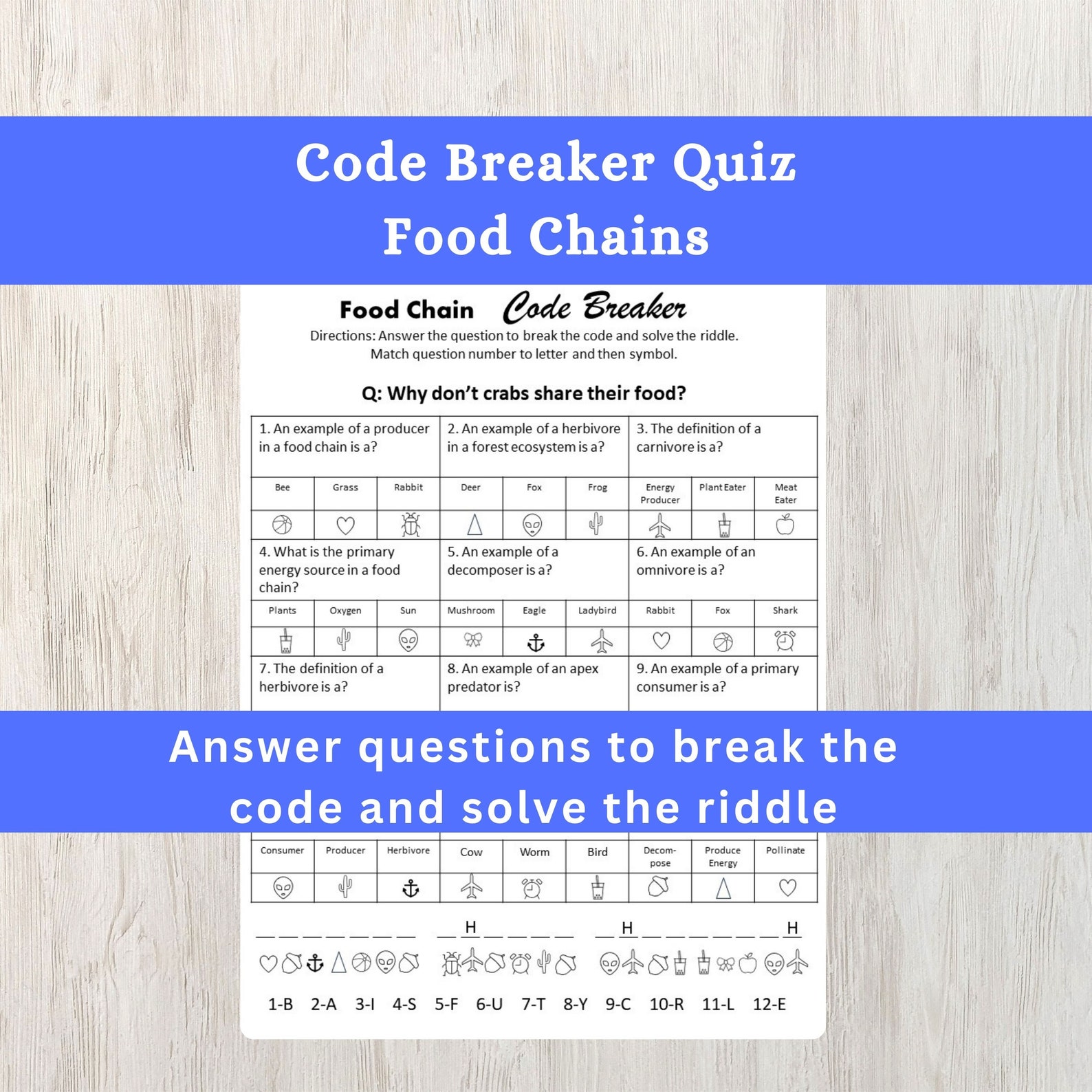 Food Chain Code Breaker Worksheet | Food Chain Quiz Sheet | Food Chain ...